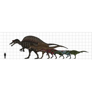 suchomimus size