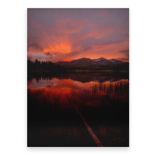 Dan Ballard 'Sunset Reflections' Floating Brushed Aluminum Art - Bed ...