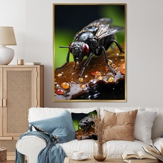 Designart "Insects Bugs Portrait I" Insects & Bugs Framed Canvas Print ...