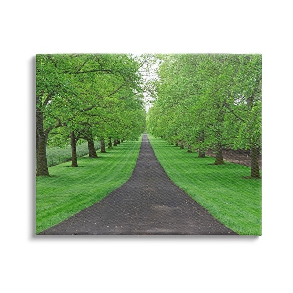 Stupell Tree Grove Path Landscape Canvas Wall Art Design by Dennis ...