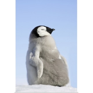 "Emperor Penguin" Poster Print - Multi - Bed Bath & Beyond - 16450456