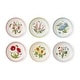 Portmeirion Botanic Garden Set of 6 Meadow Salad Plates - 8 in - Bed ...