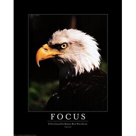 ''Focus: Eagle'' by Anon Motivational Art Print (20 x 16 in.) - Bed Bath & Beyond - 12158217