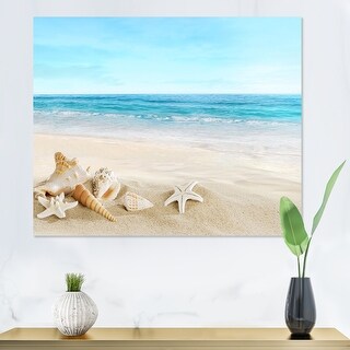 Designart "Landscape With Shells On Tropical Beach" Nautical & Coastal ...