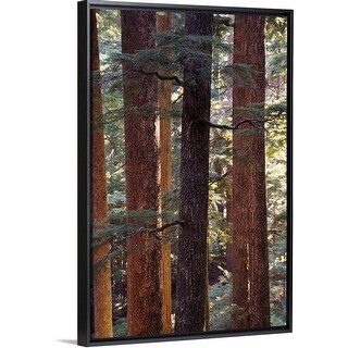 "Pine Trees" Black Float Frame Canvas Art - Bed Bath & Beyond - 25518700