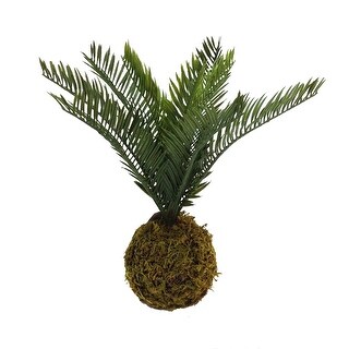 Moss Ball Fern 12" Palm - Pack Of 6 - Bed Bath & Beyond - 38208155
