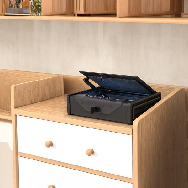 Gun Safe Biometric Gun Safes for Home Pistols Gun Cabinet with Key Pad ...