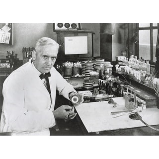 Dr Alexander Fleming History - Bed Bath & Beyond - 24418120