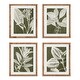Translucent Stem Prints - Bed Bath & Beyond - 37332254