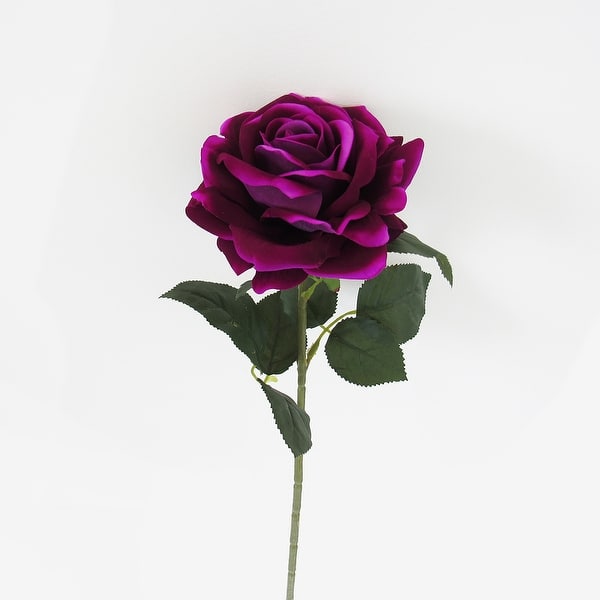 single stem purple rose
