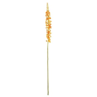 Eremurus Faux (Fake) Stem 46" - Bed Bath & Beyond - 38215680