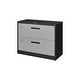 2 Drawer Lateral File Cabinet With Lock - Bed Bath & Beyond - 36192677
