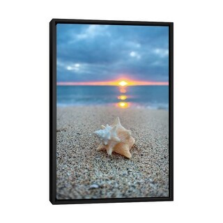 iCanvas "Pastel Shell Dawn Vert" by Sean Davey Framed Canvas Print ...