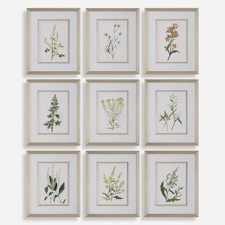 Uttermost Botanical Flowers Framed Prints, Set of 9 - Bed Bath & Beyond ...