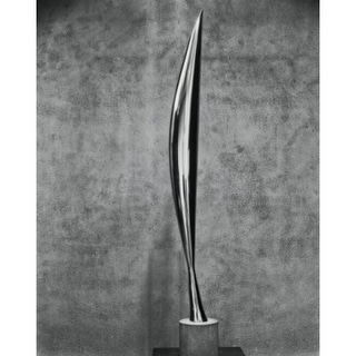 Bird In Space 1919 Constantin Brancusi (8 X 10) Bronze Museum Of Modern ...
