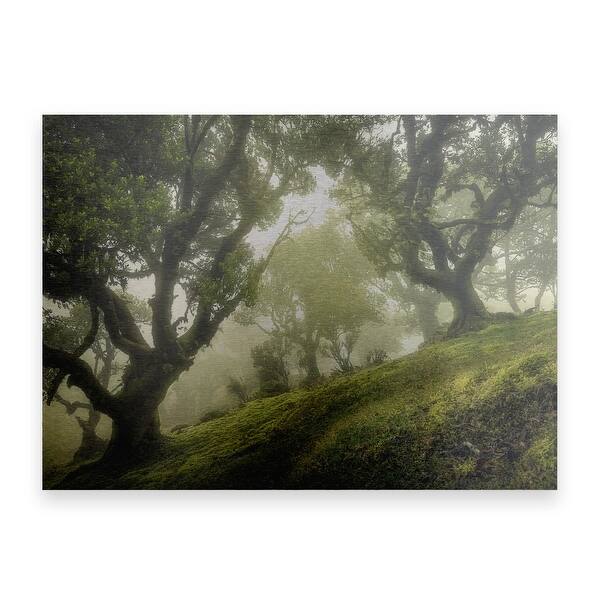 Xavier Ortega 'Topis Silhouettes' Floating Brushed Aluminum Art - Bed ...