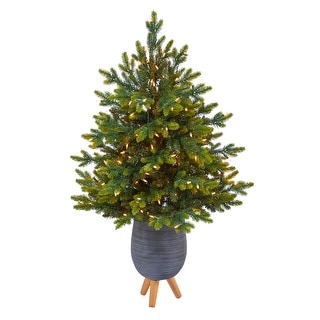 3.5’ Pre-Lit North Carolina Fir Artificial Christmas Potted Tree, Clear ...