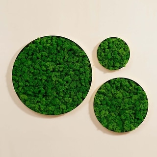 Round Framed Moss Wall Decor, only the Medium pc - Bed Bath & Beyond ...