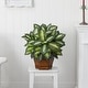 Golden Dieffenbachia Silk Plant - Green - Bed Bath & Beyond - 22801855