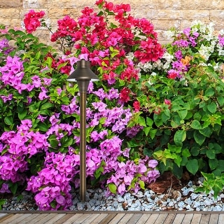 Juniper Path Light D5 H24 in Antique Cast Brass Finish - Bed Bath ...