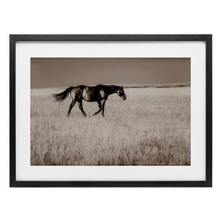Stupell Dashing Montana Stallion Under Glass Framed Design By Christy ...