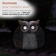 Alpine Corporation 13" Tall Outdoor Solar Powered Owl Yard Statue with ...
