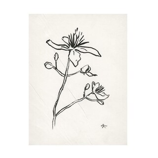 Joseph Roberts 'Floral Ink Study II' Canvas Art - Bed Bath & Beyond ...