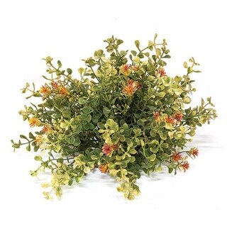 Fall Buds & Baby's Grass Half Sphere 10" - 10" x 10" x 6" - Bed Bath ...