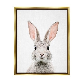 Stupell Rabbit Face Portrait Framed Floater Canvas Wall Art Design by ...