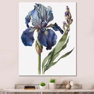 Designart "Blue Iris Botanical Illustration" Irises Wall Art Prints ...
