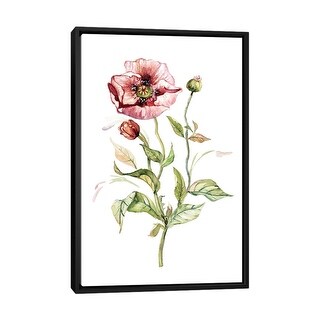 iCanvas "Wild Poppy" by Carol Robinson Framed - Bed Bath & Beyond ...