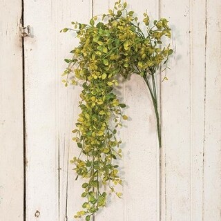 Hanging Bog Pimpernel Bush 34" - Bed Bath & Beyond - 34861307