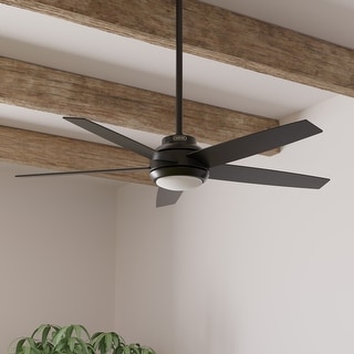 Hunter 52" Zayden Ceiling Fan with LED Light Kit and Handheld Remote ...