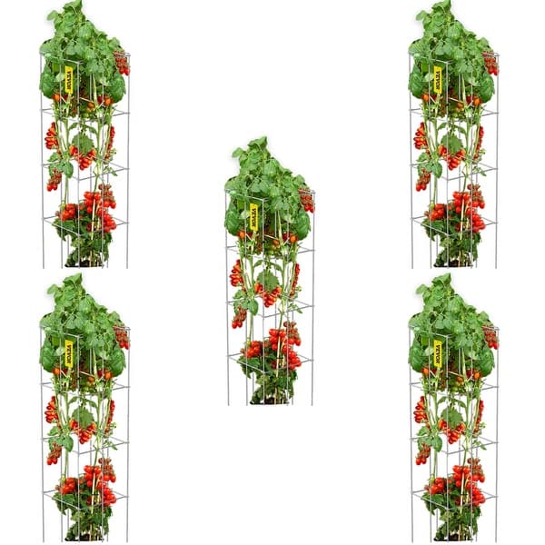 square tomato trellis
