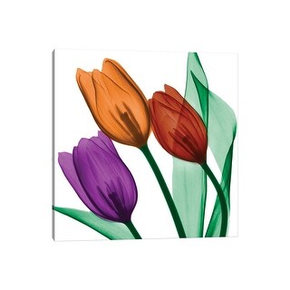 iCanvas "Jeweled Tulips II" by Albert Koetsier Canvas Print - Bed Bath ...