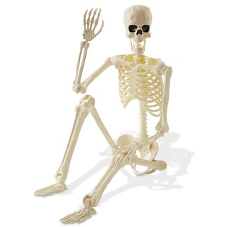74in Franken Skeleton Lifesize Halloween Posable Skeleton Outdoor - Bed ...