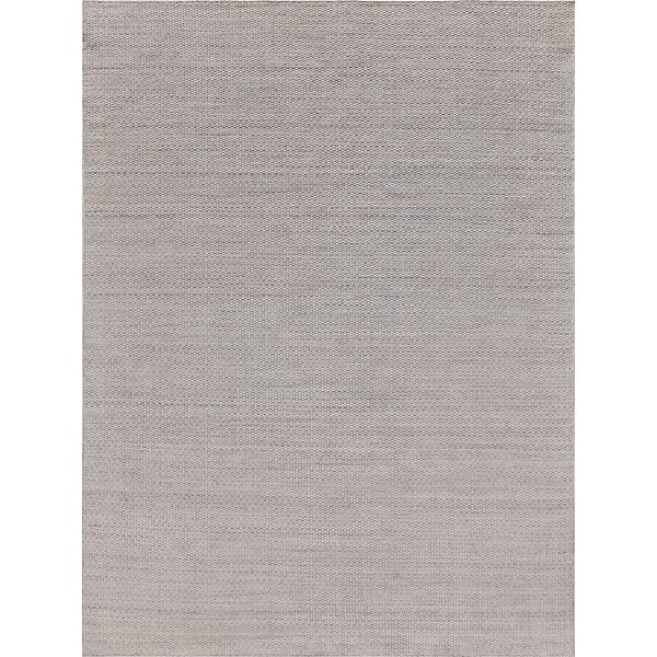 EXQUISITE RUGS Gamma Indoor/Outdoor Flatweave PET yarn Beige Area Rug ...