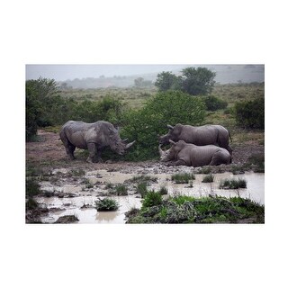 Bob Langrish 'White Rhinoceros 1' Canvas Art - Bed Bath & Beyond - 39537755