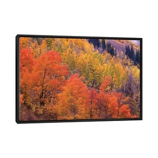 iCanvas "Quaking Aspen Grove In Fall Colors, Washington Gulch, Gunnison ...