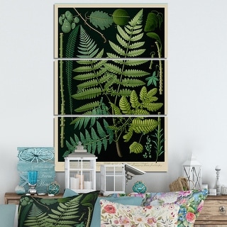 Designart "Fern On Retro Victorian Chart I" Floral Ferns Canvas Art ...