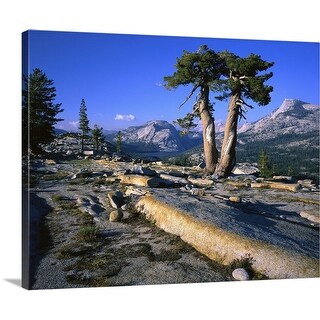 "California, Yosemite National Park" Canvas Wall Art - Bed Bath ...