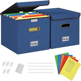 File Box Organizer with lid 2 Pack - Bed Bath & Beyond - 39426913