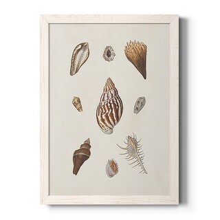 Knorr Shells & Coral IX-Premium Framed Canvas - Ready to Hang - Bed ...