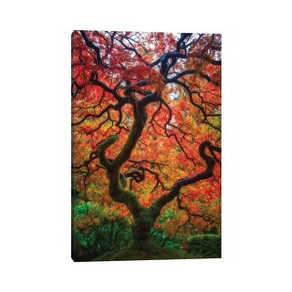 iCanvas "Earthal Tree Alive" by Darren White Photography Canvas Print ...