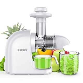 Slow Masticating Juicer Machine, Celery Juicer Maker with Ceramic Auger ...