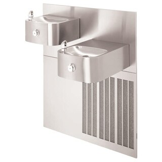 Haws Hi-Lo Barrier-Free Electric Drinking Fountain with Engineered ...
