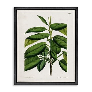 Stupell Scientific Woodland Plant Framed Floater Canvas Wall Art Design ...