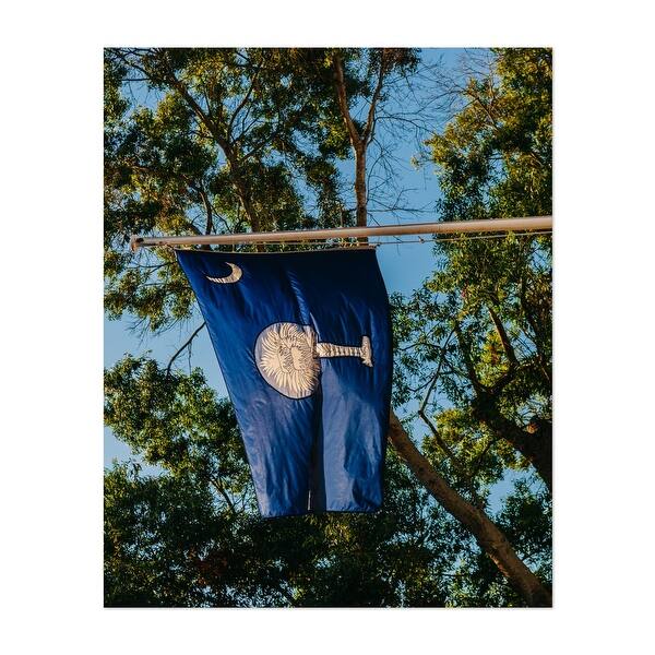 Charleston South Carolina Charleston State Flag Leaf Art Print/Poster ...
