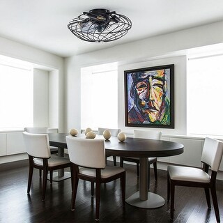 18" Rustic Edison Industrial Ceiling Fan Cage Light w/ Remote Control ...