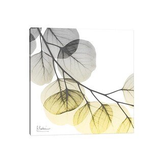 iCanvas "Brilliant Eucalyptus II" by Albert Koetsier Canvas Print - Bed ...